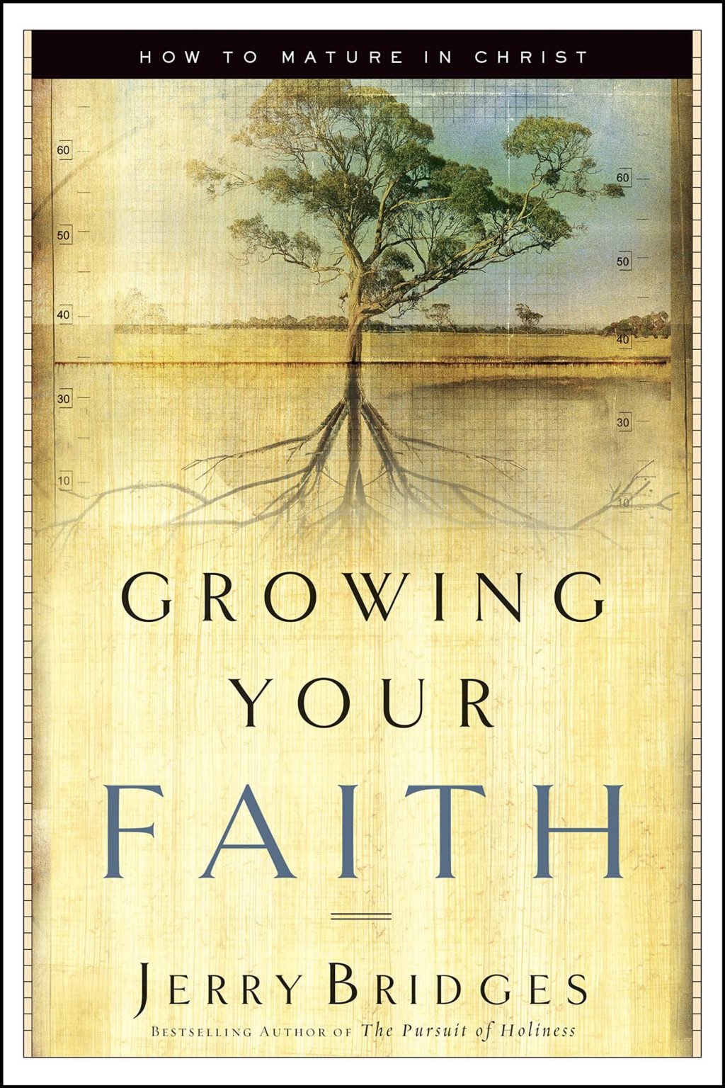 How to Grow in the Grace and Knowledge of Our Lord - Biblical Christianity