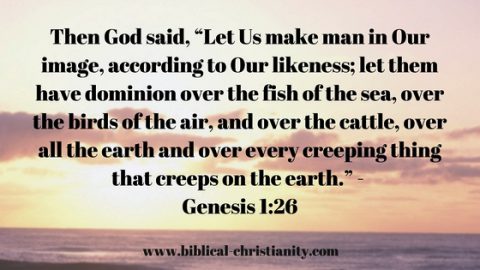 Man: A Tripartite Being with Body, Soul and Spirit - Biblical Christianity