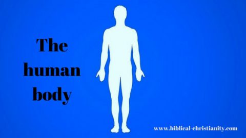 Man: A Tripartite Being with Body, Soul and Spirit - Biblical Christianity