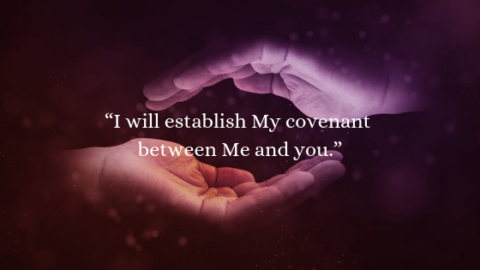 What is God’s Covenant with Man? - Biblical Christianity