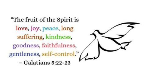 What is the Fruitful Christian Life? - Biblical Christianity