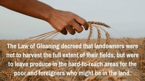 A Summary of the Book of Ruth - Biblical Christianity