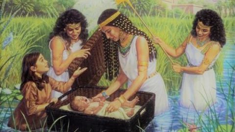 How to Know the Will of God in Our Lives - Biblical Christianity