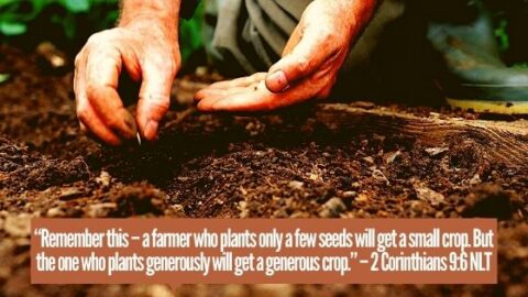 God’s Principles of Giving - Biblical Christianity