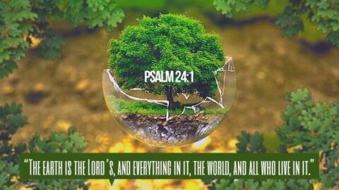 God’s Principles of Giving - Biblical Christianity