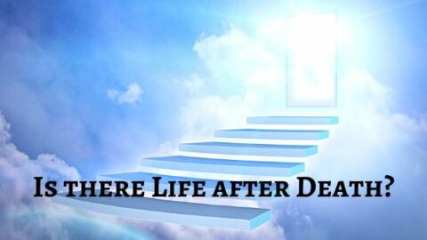 7 Reasons to Believe in the Afterlife - Biblical Christianity