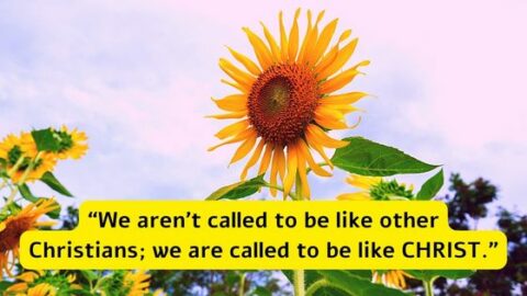 Follow Jesus, Not Man - Biblical Christianity